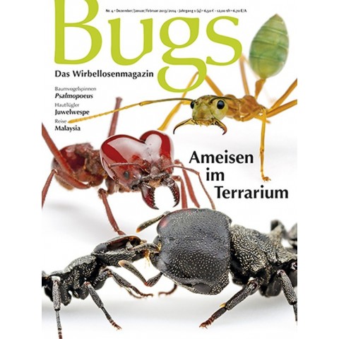 Bugs Magazine nr.4 - Ameisen im Terrarium