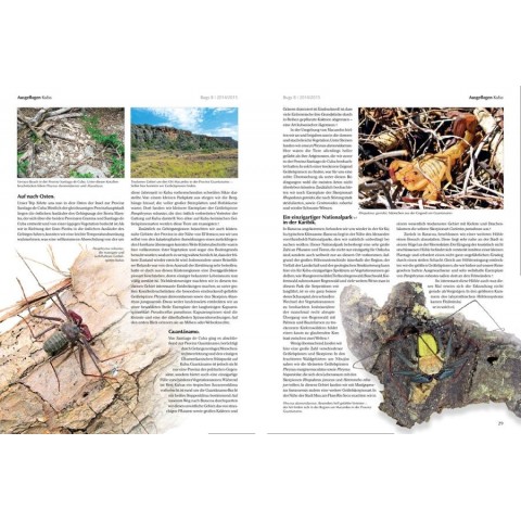 Bugs Magazine nr.8 - Hundertfüsser