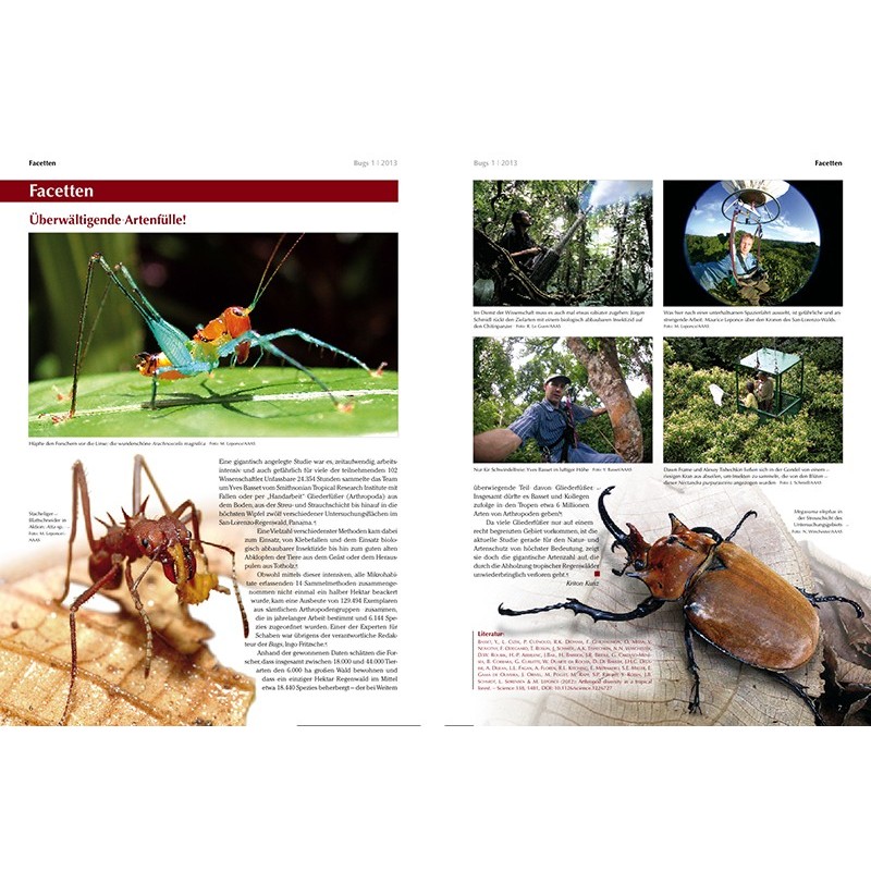 Bugs Magazine nr.1 - Goliathkäfer bunte Giganten