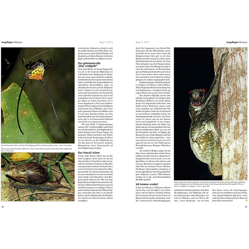 Bugs Magazine nr.4 - Ameisen im Terrarium