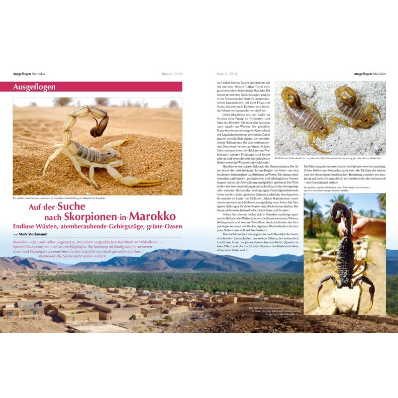 Bugs Magazine nr.6 - Asiatische Mantiden